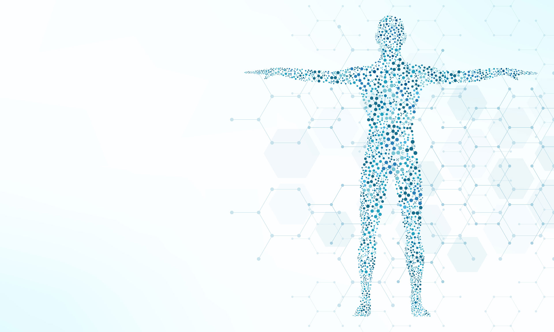 Vitalfeld Bodyscan | Flow Your Health
